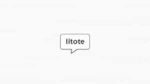 One Example Of Litotes