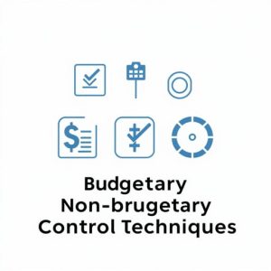 Budgetary And Non Budgetary Control Techniques Ppt